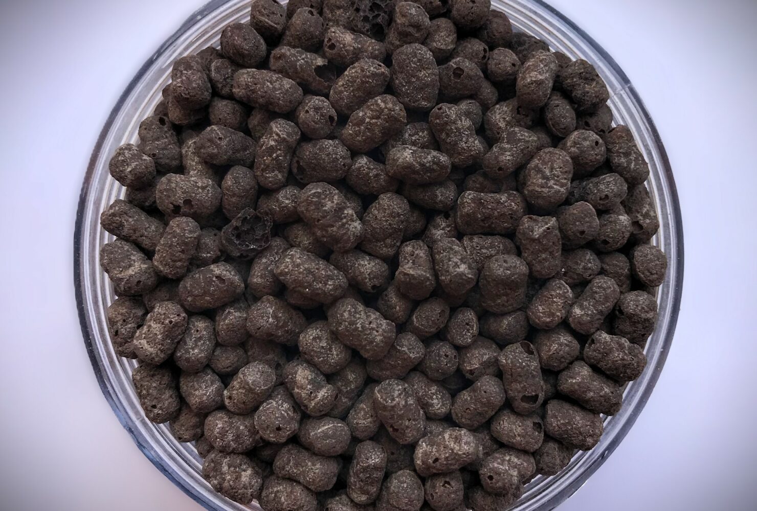 Soy Protein Crisps Cocoa | Lehmann Ingredients