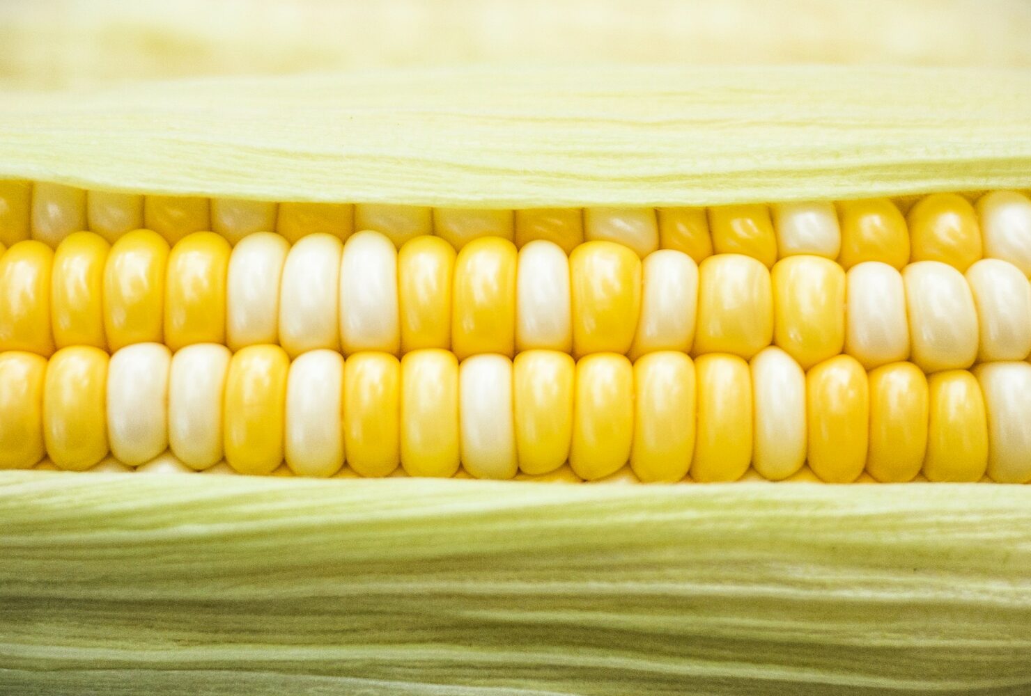 Corn Starch Native | Lehmann Ingredients