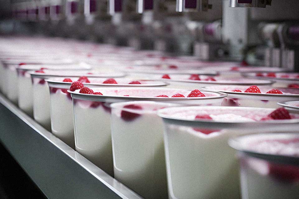 Food & Drink Ingredients Supplier & Distributor