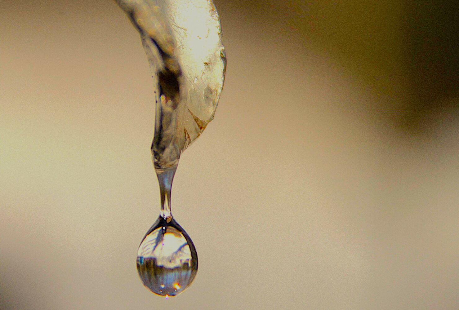 Liquid Fructose Supplier: Essential Characteristics Explained | Lehmann ...