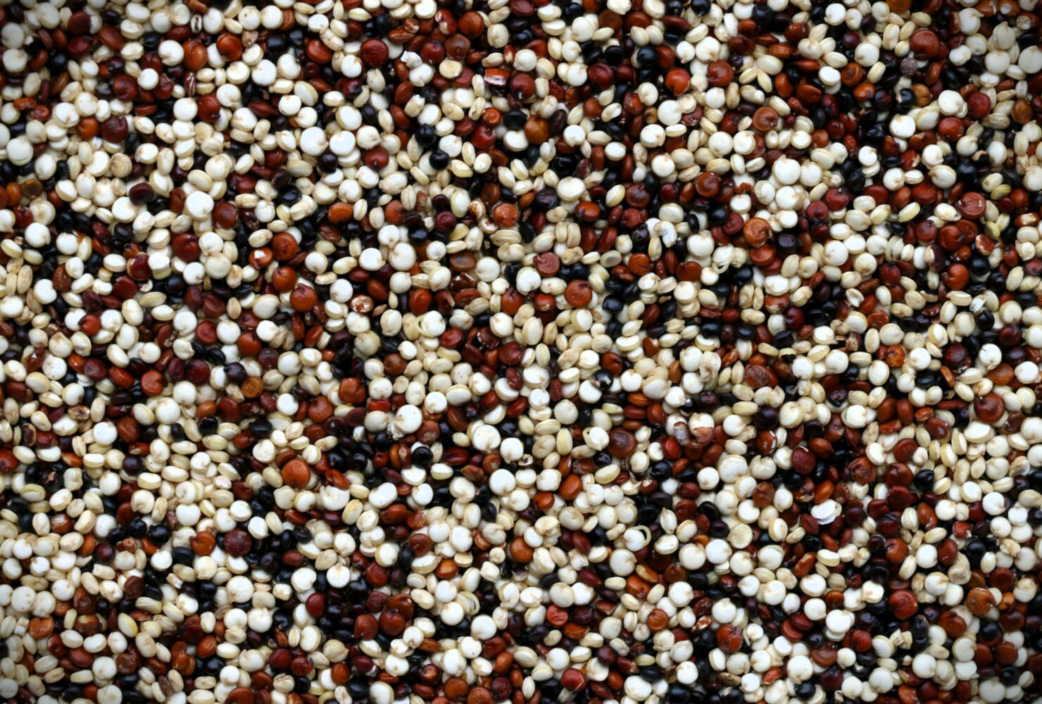 Quinoa Crisps | Lehmann Ingredients