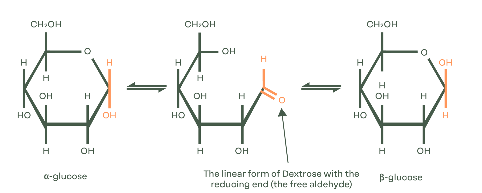 What is Dextrose Equivalent (DE)? | Lehmann Ingredients