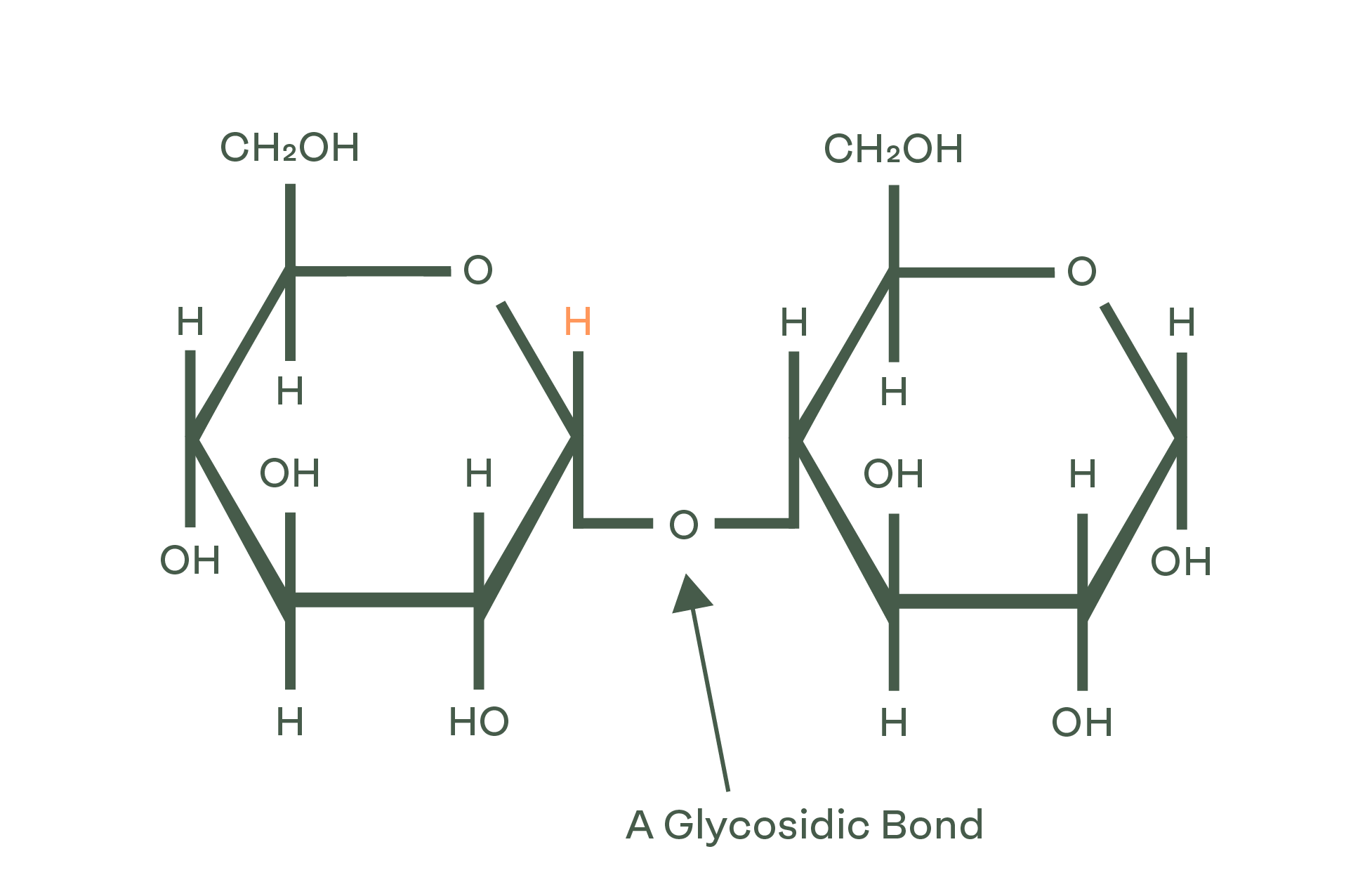 What is Dextrose Equivalent (DE)? | Lehmann Ingredients