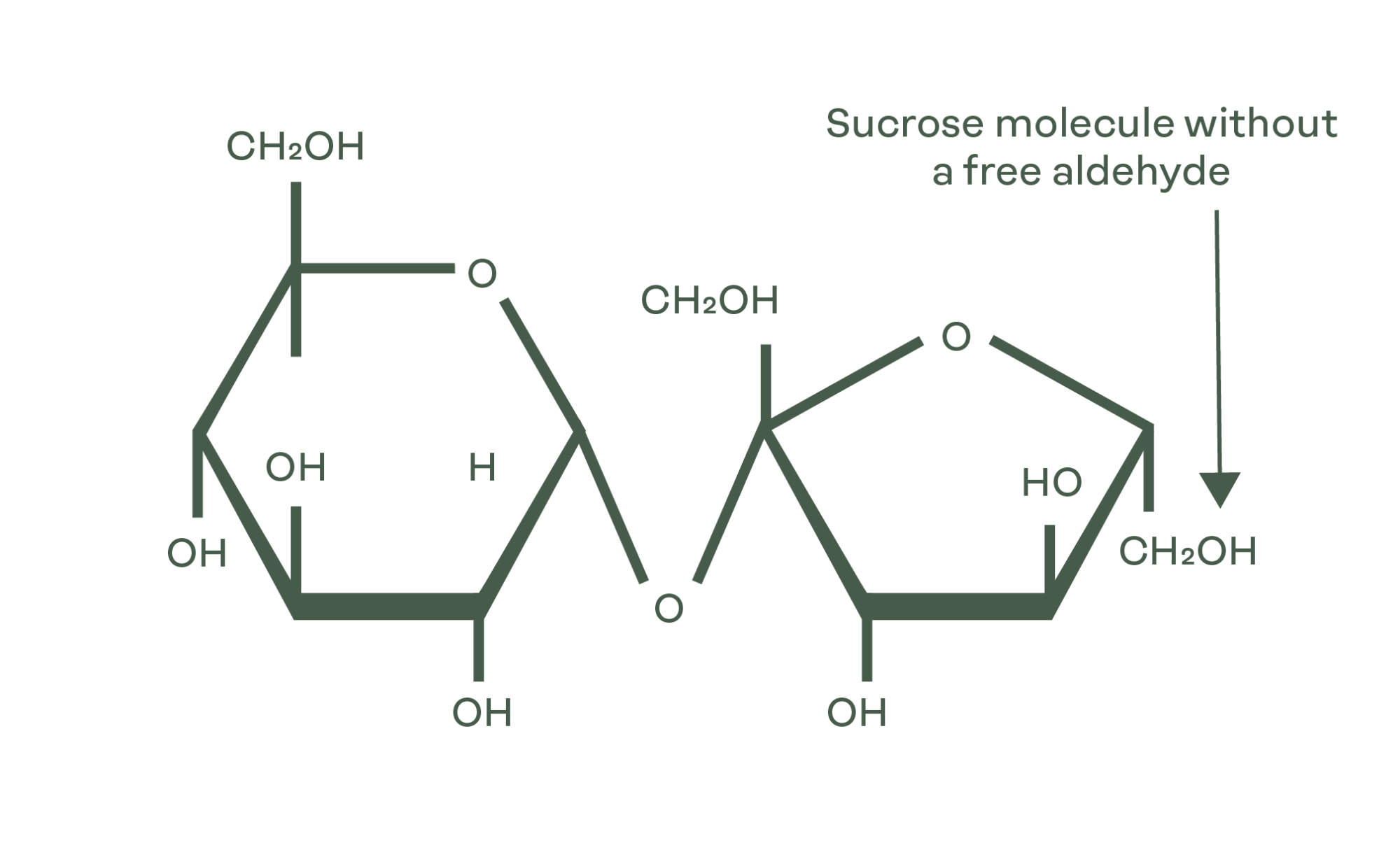 What is Dextrose Equivalent (DE)? | Lehmann Ingredients