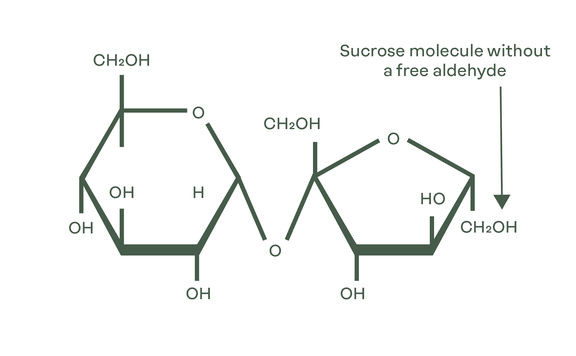 What is Dextrose Equivalent (DE)? | Lehmann Ingredients