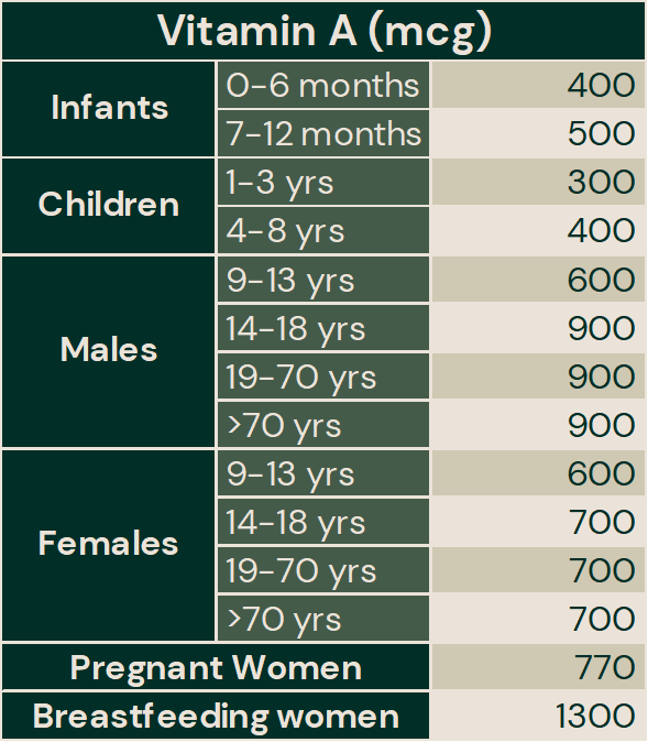 What are Nutrients? Understanding Macro and Micronutrients | Lehmann ...