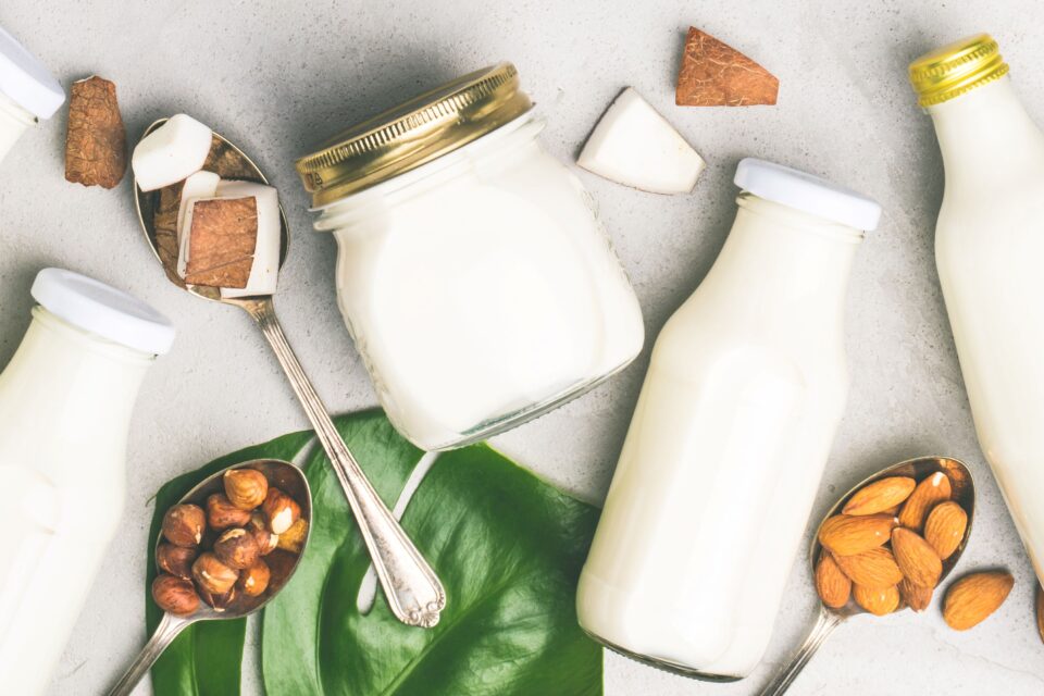 Stevia for Dairy Applications | Lehmann Ingredients