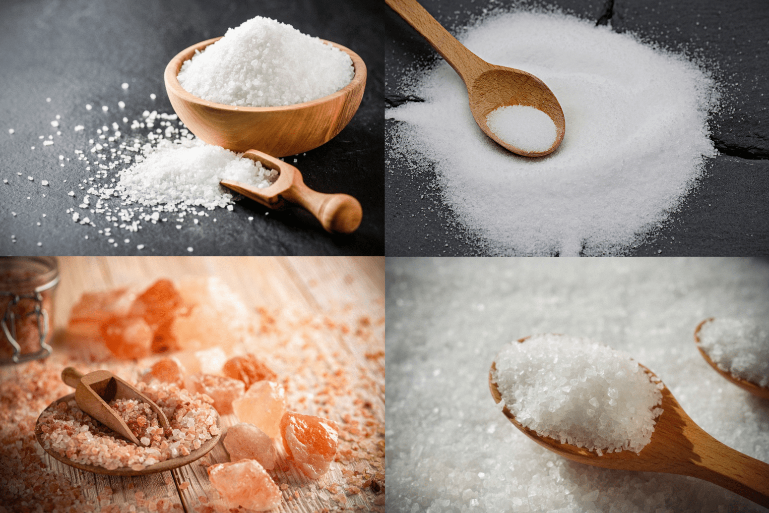 Salt: Enhancing Taste and Tradition in Cooking | Lehmann Ingredients
