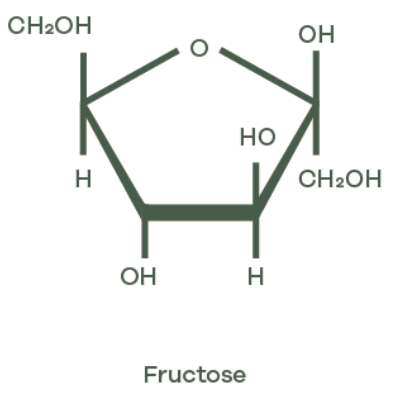 Fructose vs. Glucose vs. Sucrose: Understanding the Differences ...